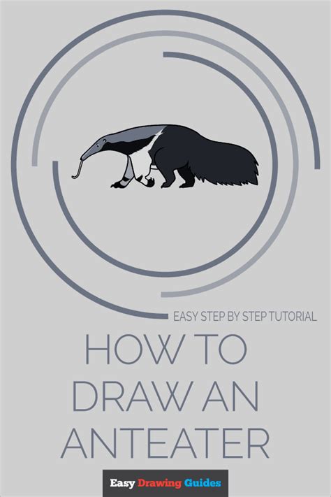 How To Draw An Anteater Really Easy Drawing Tutorial