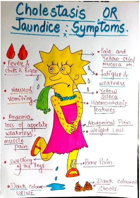 Cholestasis Or Jaundice Symptoms And Diagnosis