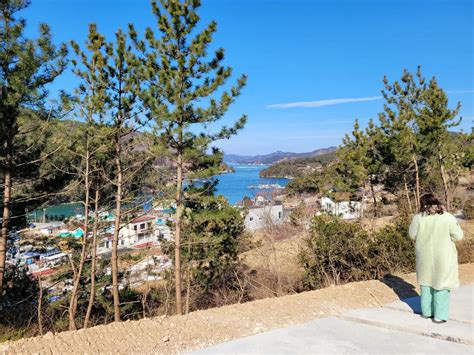 보편적리빙 아이와 아침에 산책하면서 소나무숲 맑은공기마시고왔어요 ~ 보편적카페 미륵산 산책로