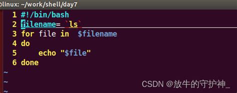 Bash脚本中的条件分支与循环语句 Csdn博客 Bash脚本中的条件分支与循环语句 Csdn博客