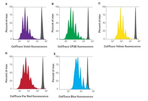Cell Proliferation Using Flow Cytometry Thermo Fisher Scientific Fr