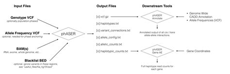 Github Secastelphaser Phasing And Allele Specific Expression From