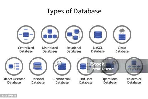 중앙 집중식 데이터베이스 분산 데이터베이스 관계형 Nosql 클라우드 개인용 상업용 객체 지향 계층적 등 다양한 유형의 데이터