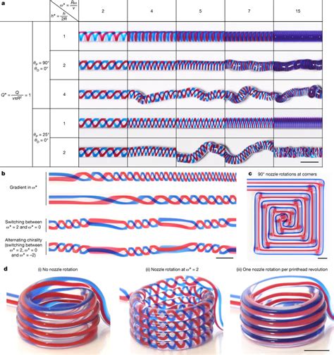 Patterning Geometric Complexity Across Scales Pdms Filaments Extruded Download Scientific