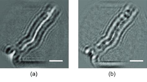 17 A Reconstructed Absorption B Reconstructed Phase The Scale Download Scientific