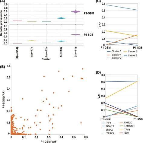 Mutation Signatures In Tumor Tissues A Mutation Prevalence And