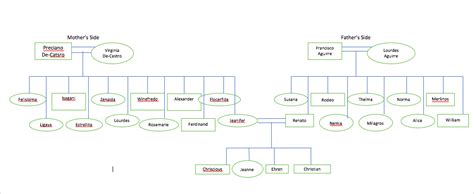 Re Genogram Ehren Aguirre