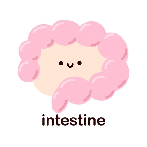 Premium Vector Kawaii Intestine Cute Human Internal Organs Cheerful