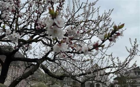 Нещодавно свекруха святкувала свій день народження Ми купили їй мультиварку за 4 тисячі гривень