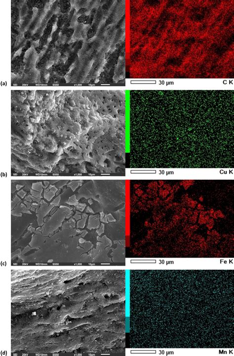 Scanning Electron Microscope Micrographs And Energy Dispersive X Ray Download Scientific