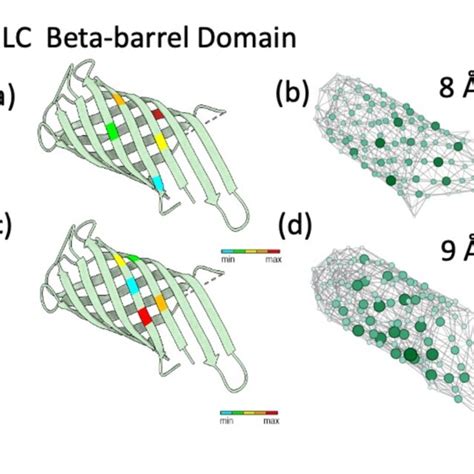 A C A Beta Barrel Domain 4rlc B And D Are The Graph Network Download Scientific