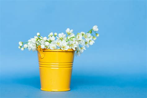 선명한 파란색 배경에 흰색 작은 벚꽃이 피는 금속 노란색 양동이장식 가정과 정원에 대한 미니멀 한 장식 0명에 대한 스톡 사진 및 기타 이미지 Istock