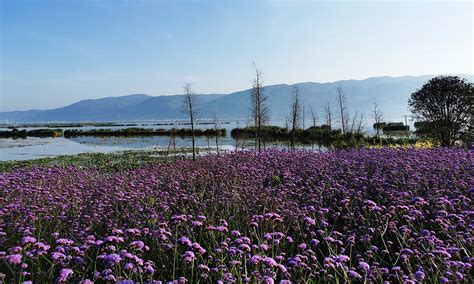 最美彩色环湖步道风景之一二 高清图集 中国天气网云南站