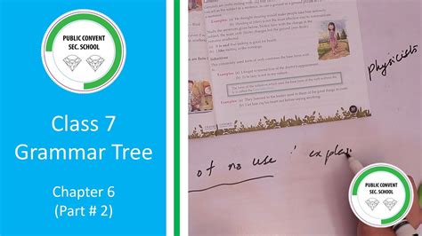 Grammar Tree Class 7 Chapter 6 Verbs Finite And Non Finite Part 2 Youtube