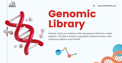 What Is Genomic Library Anthroholic