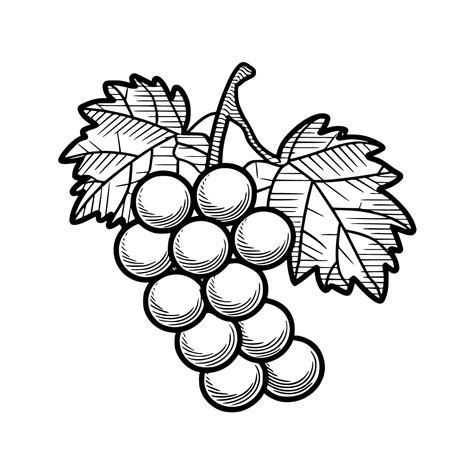 Tô Màu Chùm Nho Nhỏ Trang Tô Màu Cho Bé