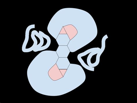 Shifting Clockwise Vs Counterclockwise Download Scientific Diagram