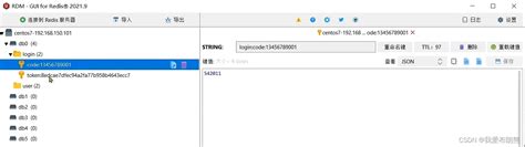 Redis替代session实现用户短信登录超级详细解释）redis怎么替换session Csdn博客