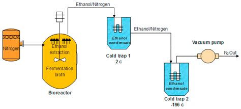Ethanol Fermentation Process