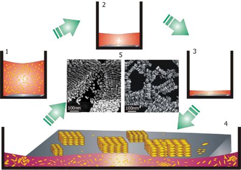 Five Steps Of Immersion Method That Leads To The Island Like Deposits