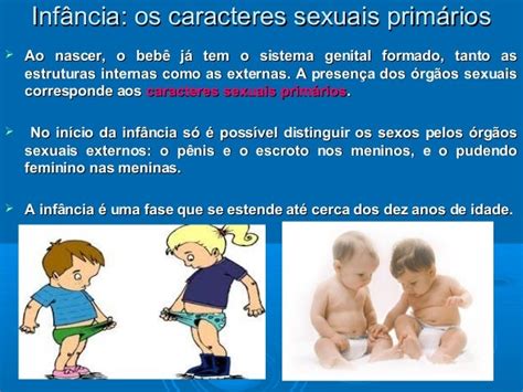 Aula 8º Ano Sexualidade