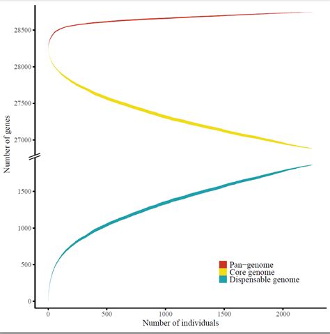 跟着nature学作图：r语言ggplot2画带有置信区间的折线图展示核心基因和非必需基因的数量 腾讯云开发者社区 腾讯云