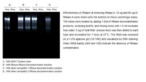 Rnazor Rnase Decontamination Solution Gendepot