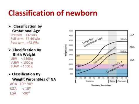 Examination Of Newborn