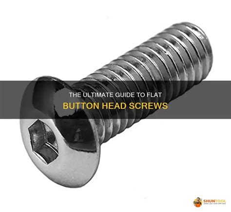 The Ultimate Guide To Flat Button Head Screws Shuntool