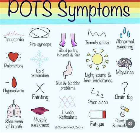 Pin By Erin V On Health In 2024 Dysautonomia Awareness Chronic Illness Awareness Dysautonomia