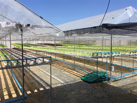 ⭐️ เฟส 3 งานสร้างโรงเรือนขนาด 5 X 10 เกษตร ไฮโดรโปนิกส์