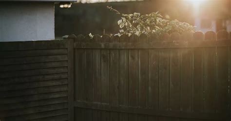 Remove Green Algae And Mould From Fences Ahead Of Spring With Cheap