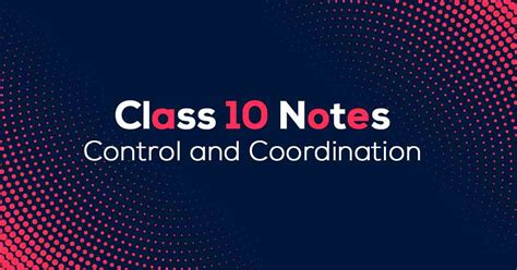Class 10th Science Control And Coordination Ncert Notes Cbse 2023