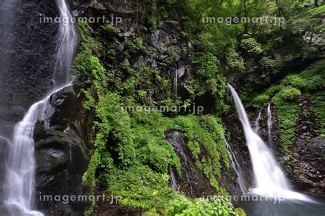 裏見の滝遊歩道日光栃木県の写真素材 178467297 イメージマート