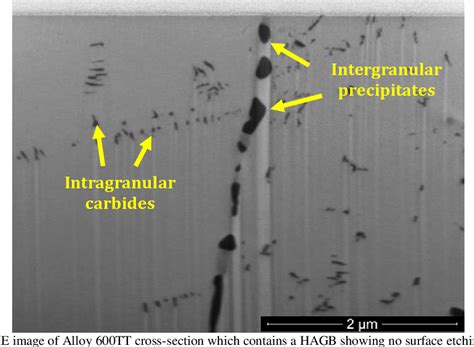 Figure 3 From The Intergranular Oxidation Susceptibility Of Thermally Treated Alloy 600