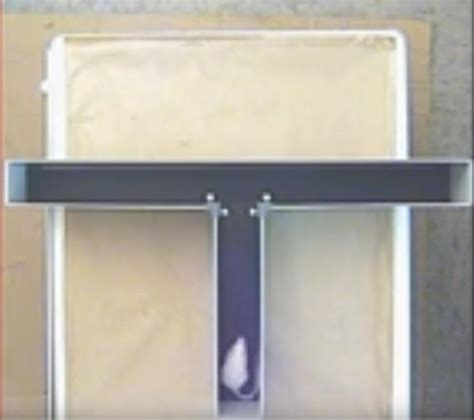 Reinforcement Learning Through A Spiking Controller — Ngc Learn 202 Documentation