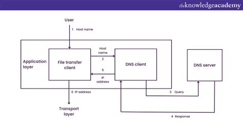 DHCP Vs DNS Key Difference Between DNS And DHCP