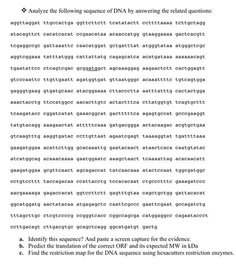 Solved Analyze The Following Sequence Of DNA By Answering Chegg Com