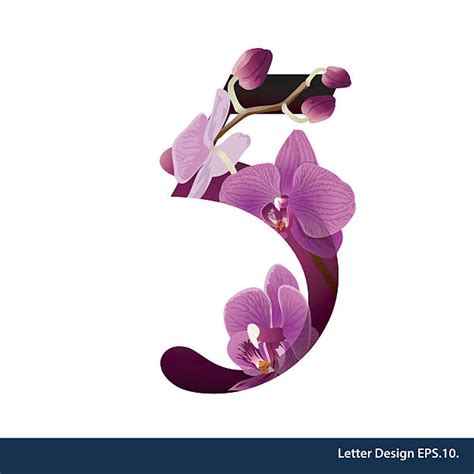 Number 5 Clip Art Pictures Illustrations Royalty Free Vector Graphics