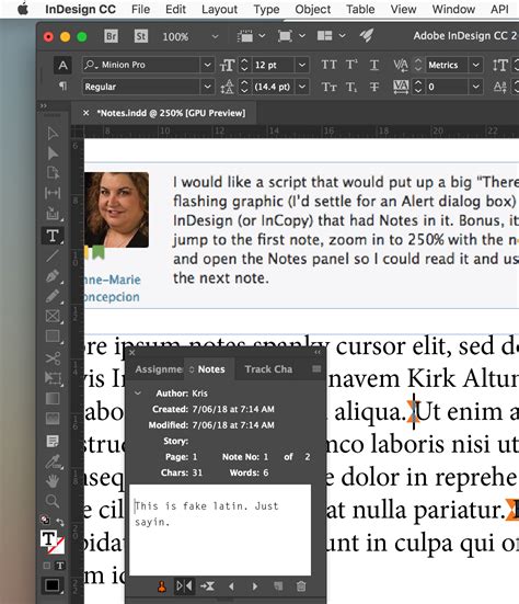 Dont Let Adobe Indesign Incopy Notes Go Unnoticed Rorohiko