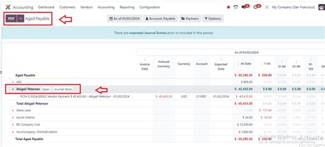 An Overview Of Odoo 17 Accounting Reports