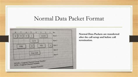 protocols and interfaces ipv4 ipv6 x 25 x 75
