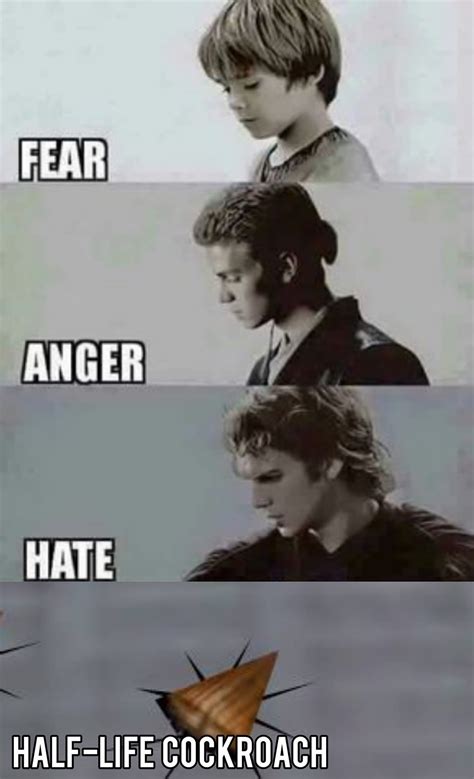 Half Life Cockroach Rokbuddyhalflife