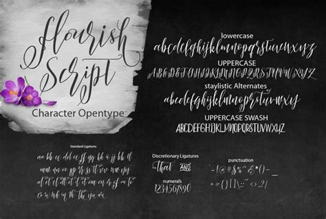 Flourish Script Calligraphy Font