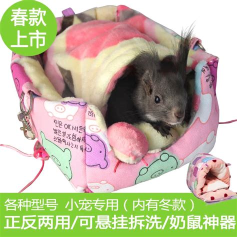 仓鼠囤东西还是松鼠仓鼠喜欢囤东西花枝鼠屯粮的目的第2页大山谷图库