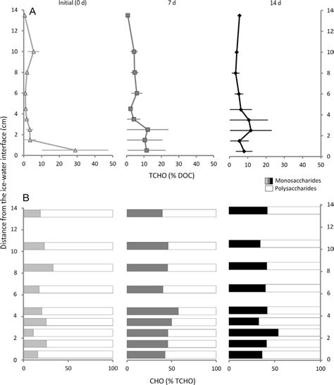 Temporal And Vertical Profiles Of Dissolved Organic Carbon Doc Download Scientific Diagram