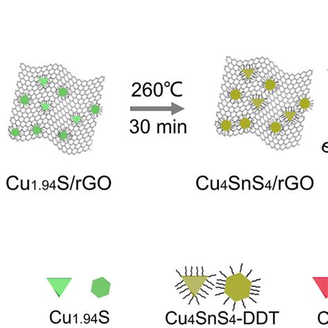 Schematic Illustration Of The Synthesis Of The Ctsrgo Composites