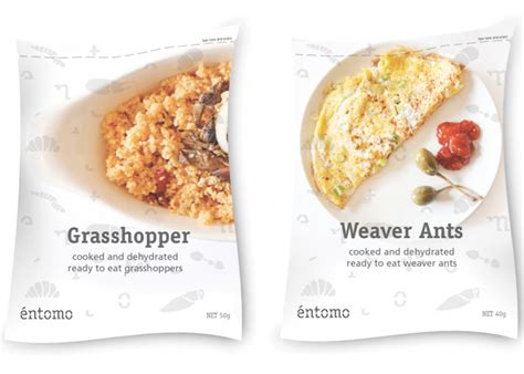Entomo Website Design Promotes Insects As Food Entomo Website Design Promotes Insects As Food
