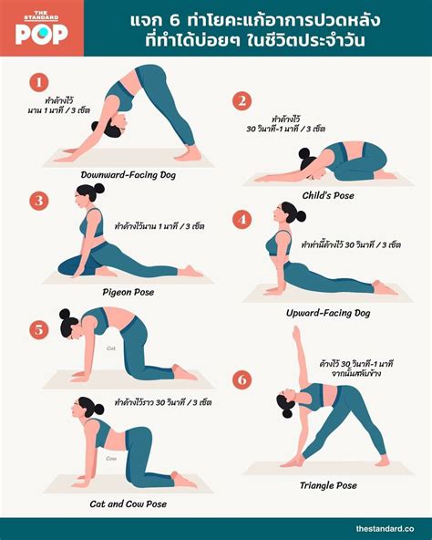 6 ท่าโยคะ แก้อาการปวดหลัง ที่ทำได้บ่อยๆ ในชีวิตประจำวัน ดูแลรูปร่าง ตารางออกกำลังกาย ฟิตร่างกาย
