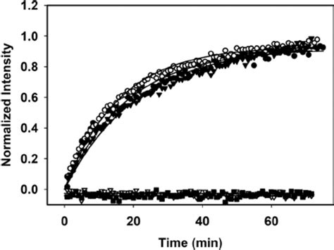 The Charged Linker Influences N Terminal Dimerization The Ability Of